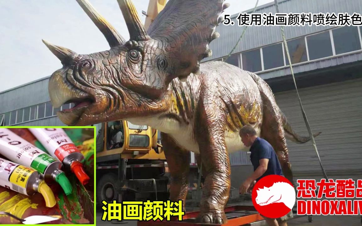 仿真恐龙制作(原材料展示)