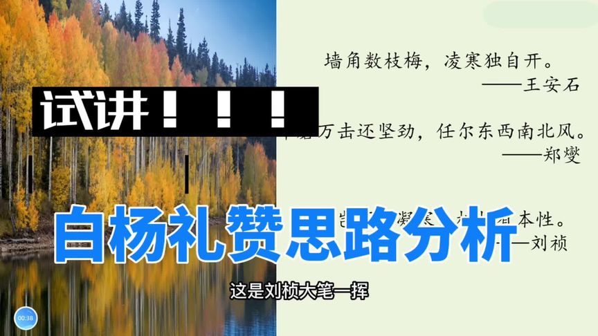 《白杨礼赞》教学分享～#知识分享 #初中语文 #试讲