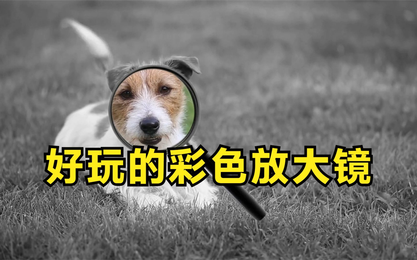 好玩的彩色放大镜 可制作产品放大效果 剪映新手创意玩法