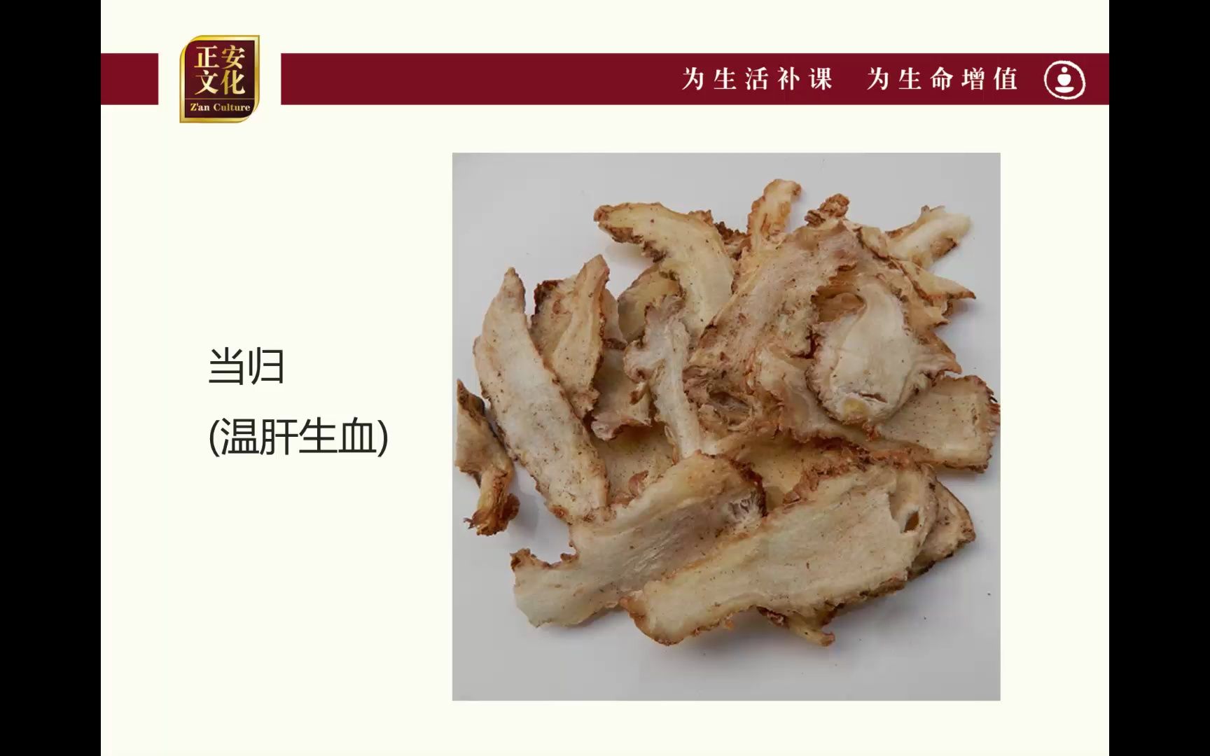 倪海厦老师弟子施合一经方药证学 第十五章 补虚药 07 地黄