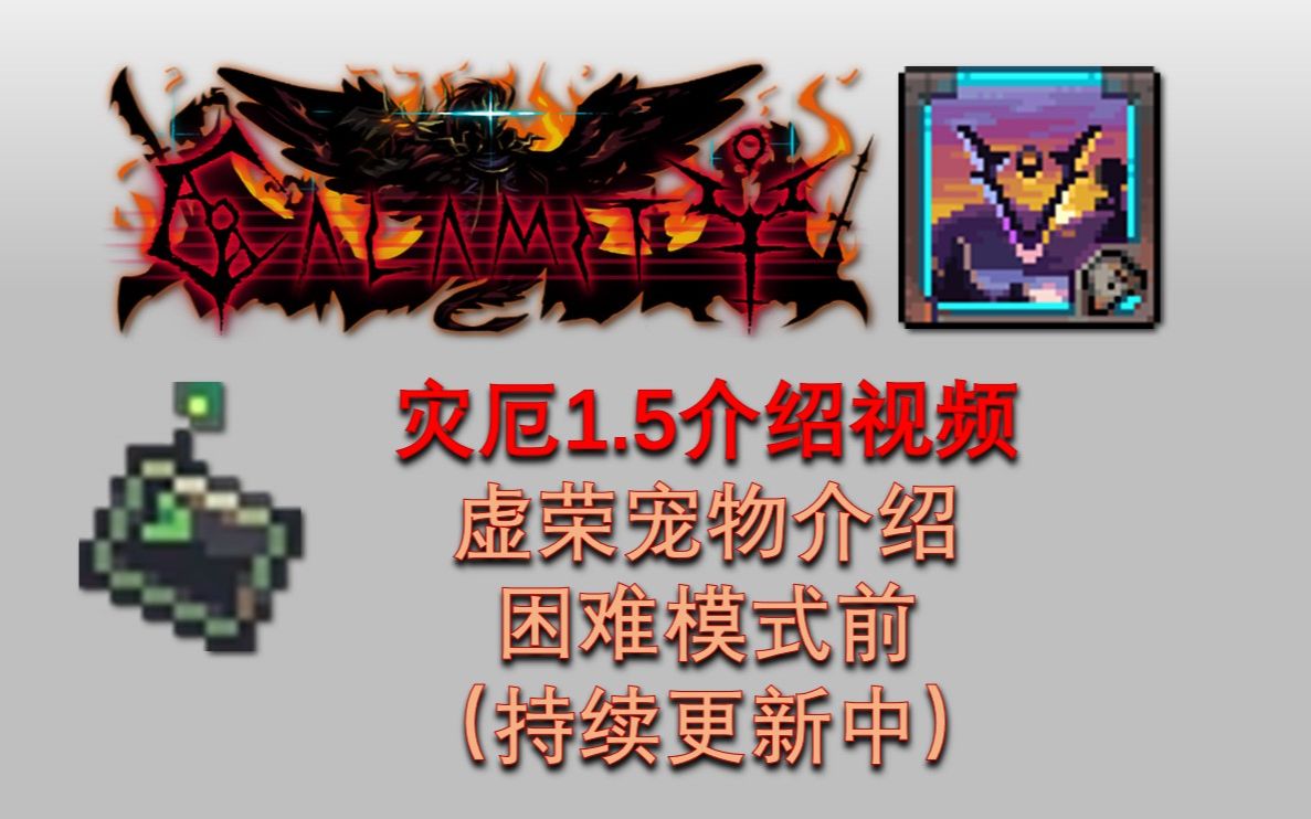 泰拉瑞亚灾厄虚荣介绍视频宠物