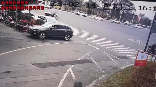 白车弯道逆行直接与对向红车相撞