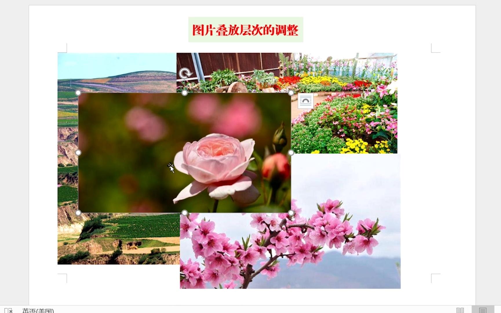 word怎样调整图片的叠放层次?可随意排序,让好图片显示在前面