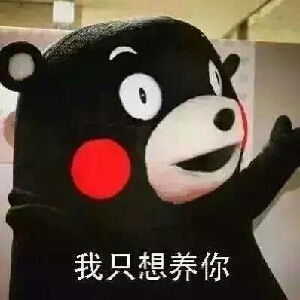 喵了不烦 