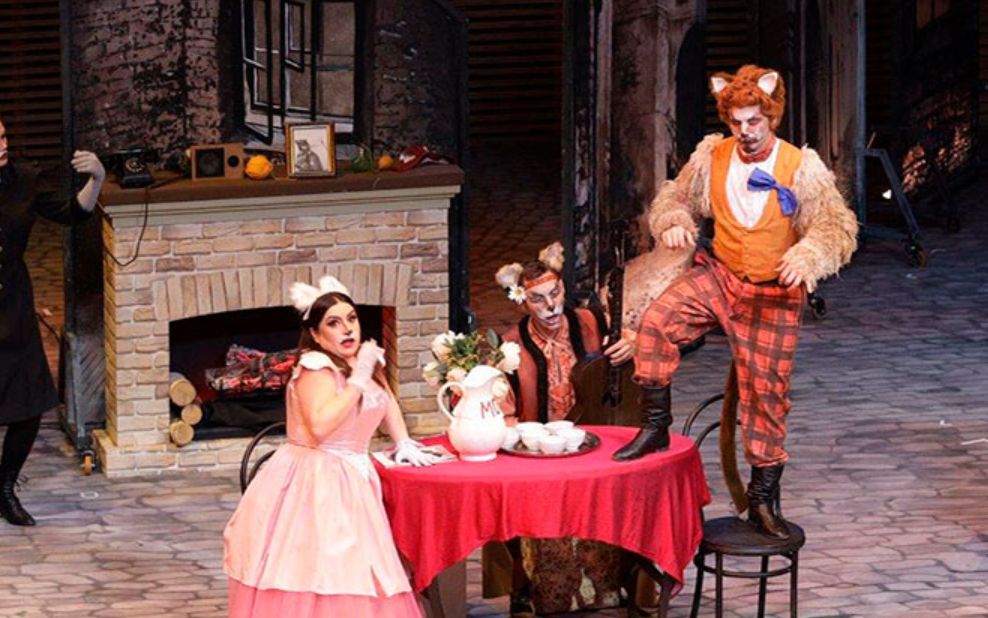 【官录高清】马林斯基剧院22年9月11日《Murych the Cat》直播