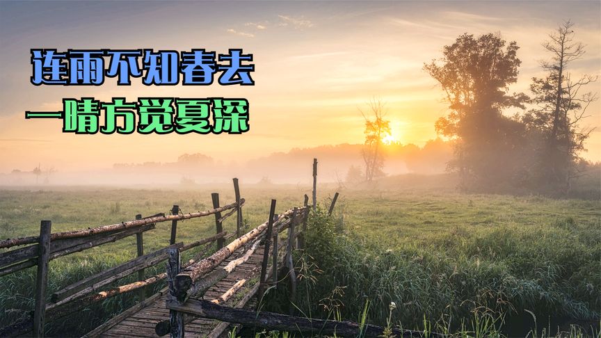 233窗间梅熟落蒂,墙下笋成出林DDF