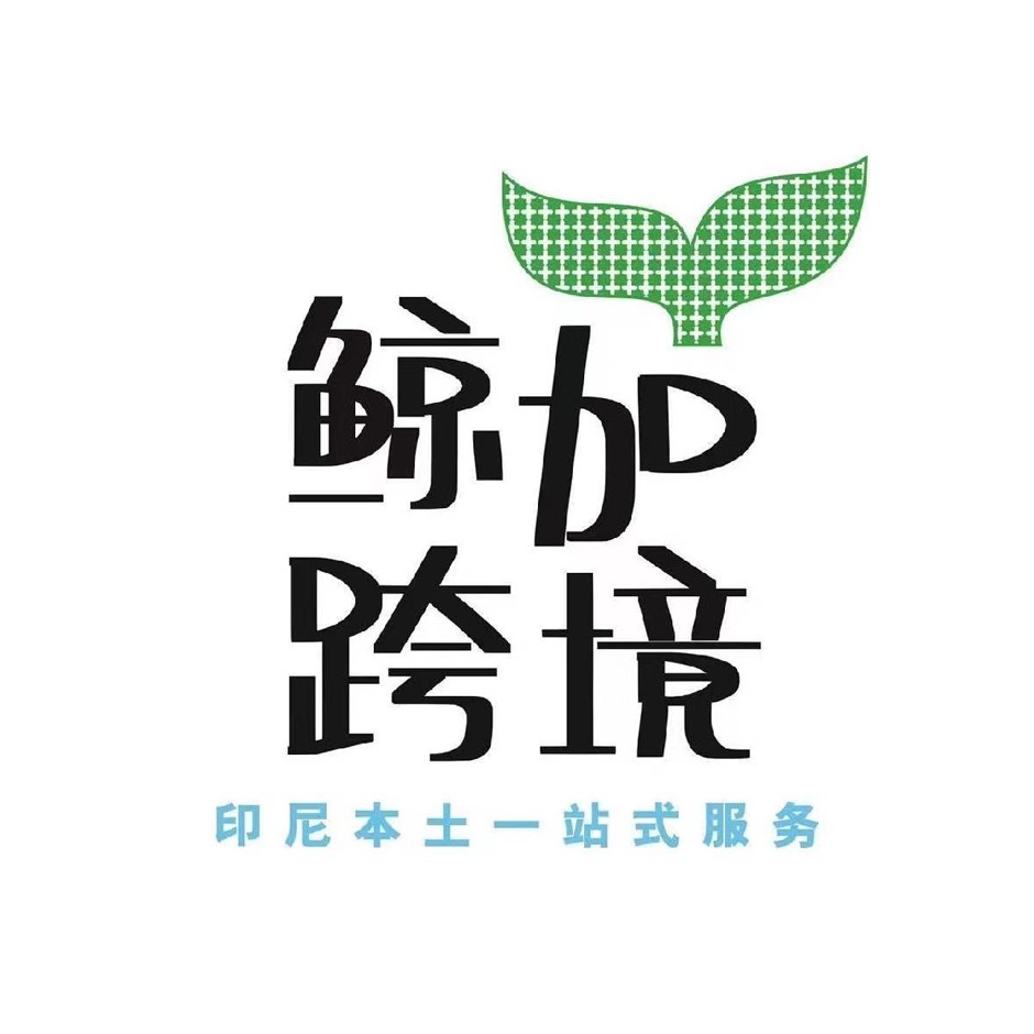 鲸加跨境 