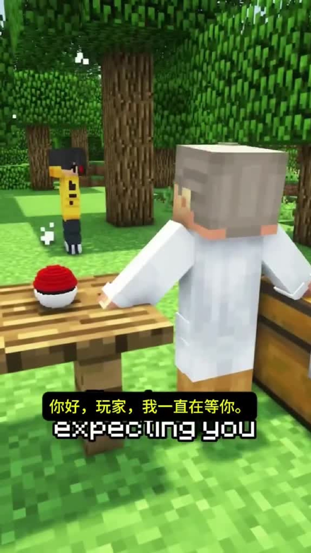 我的世界但他是RPG