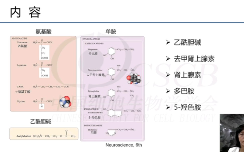 神经科学课程第三讲 神经递质及受体之乙酰胆碱、去甲肾上腺素、...