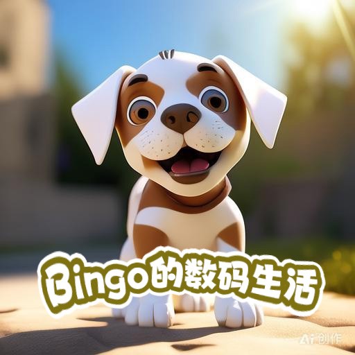 Bingo的数码生活 