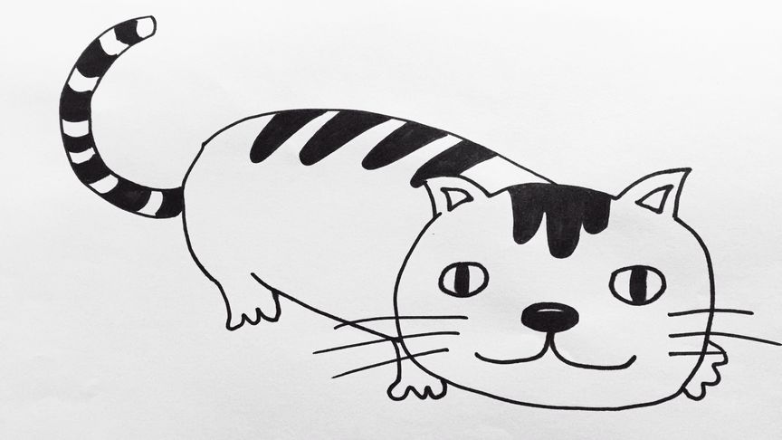 超级简单-一看就懂的简笔画小猫