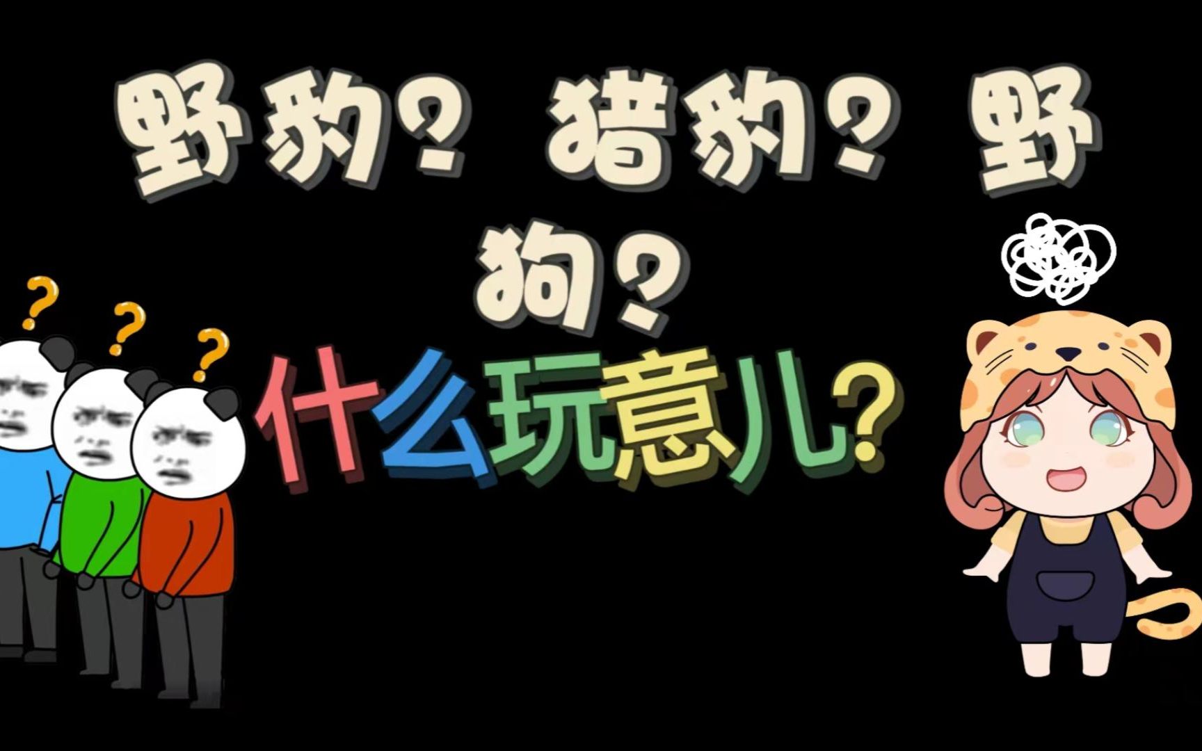 猎豹?野狗?我是野豹加速器!