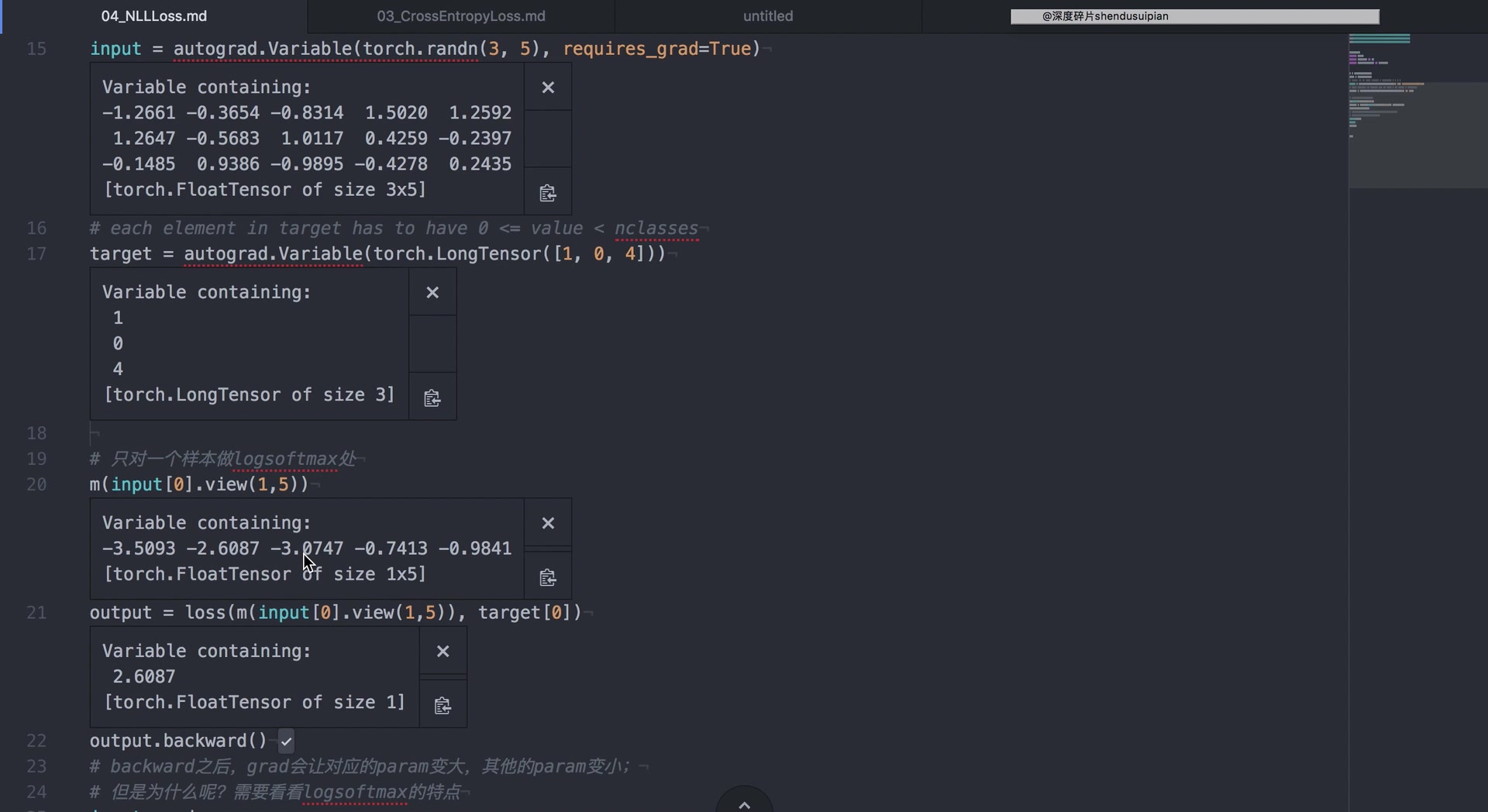 如何理解NLLLoss?