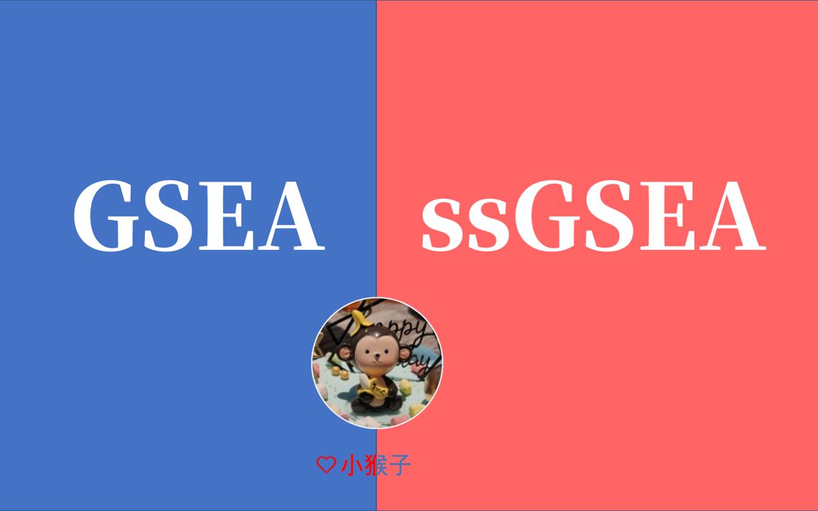 【生信分析-3】教你看懂GSEA和ssGSEA分析结果