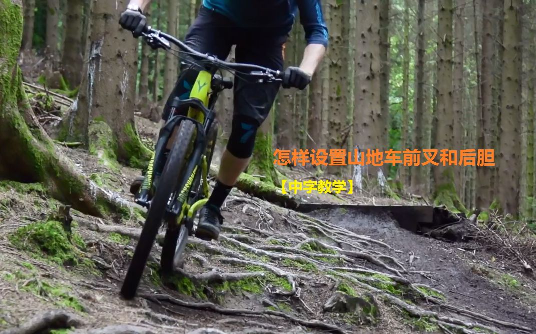 【中字】【教学】怎样设置山地车的避震