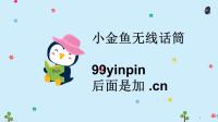 无线话筒品牌排行榜前十名