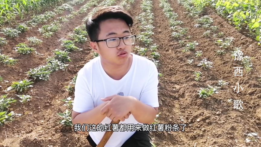 见证农作物的生长是庄稼人的日记,日复一日,周而复始