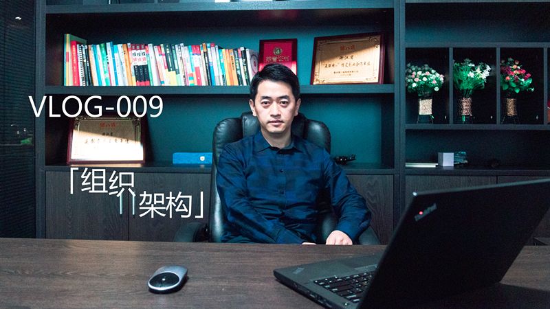 vlog009~给大家介绍下我设计的公司组织架构和部门划分