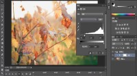 ps 笔刷 ps入门教程 photoshop特效字