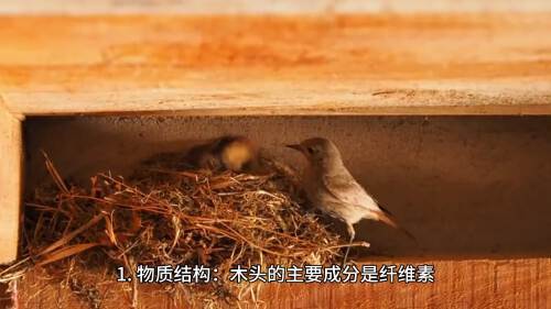 木头是绝缘体还是导体