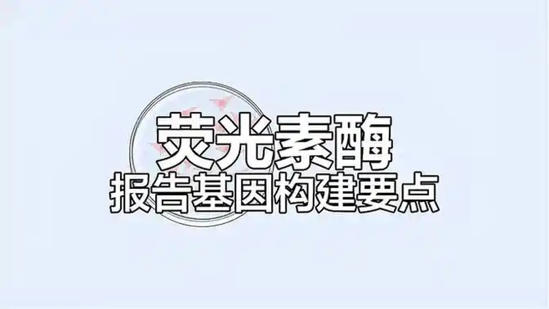 荧光素酶报告基因质粒构建技巧与常见问题解析