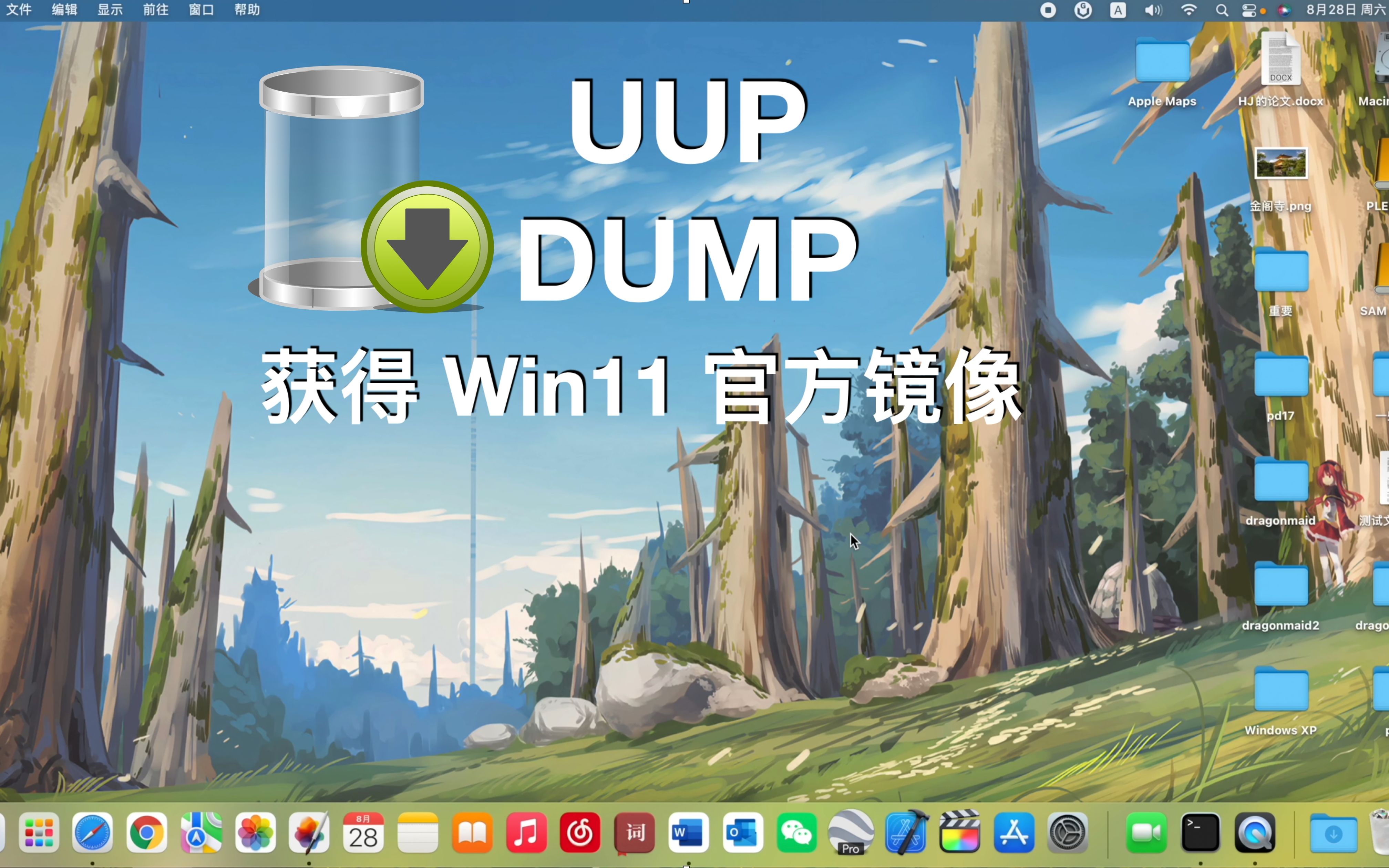 UUP Dump 获取 Win11 ISO 详细教程(macOS 和 Windows)