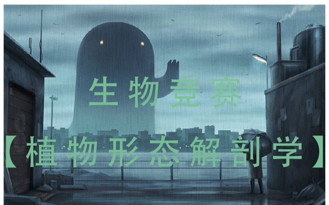 生物竞赛【植物形态解剖学】