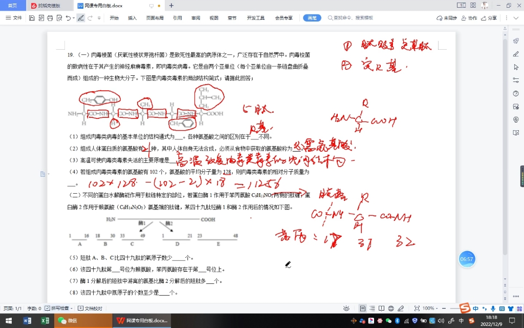 蛋白质计算难题解析