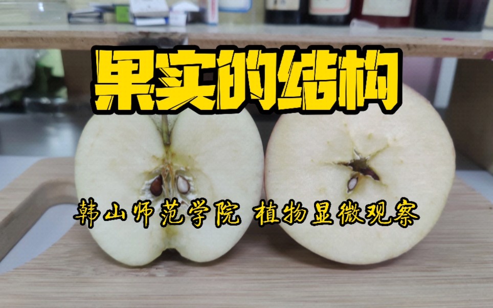 果实的形成,不要随便以苹果、梨等假果来举例说明,有些果实的食用...