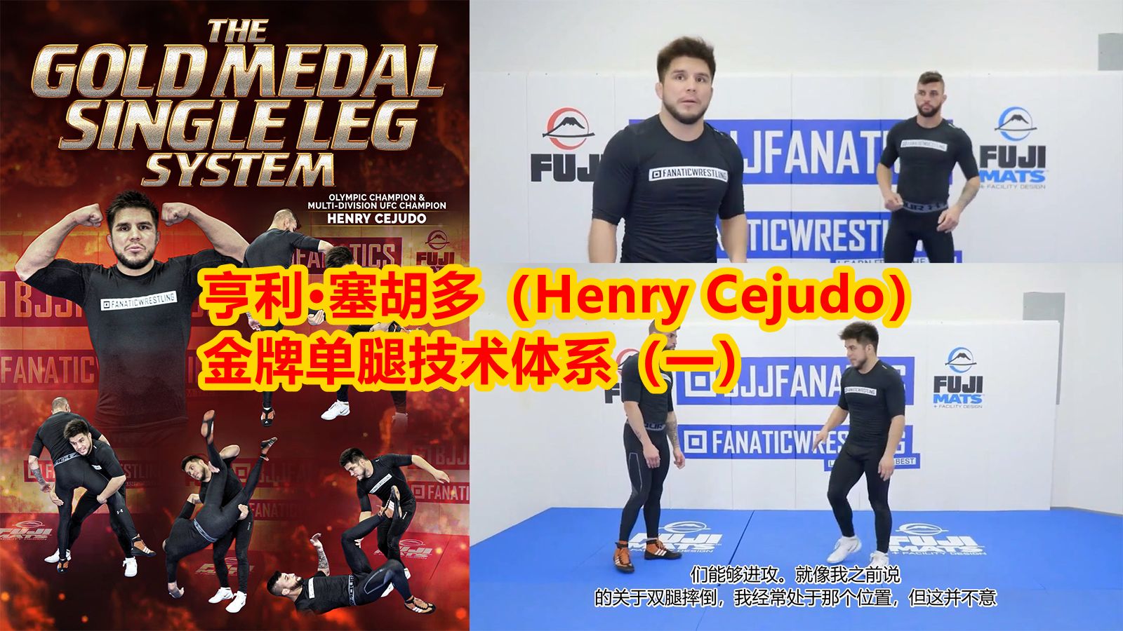 亨利·塞胡多(Henry Cejudo):金牌单腿技术体系