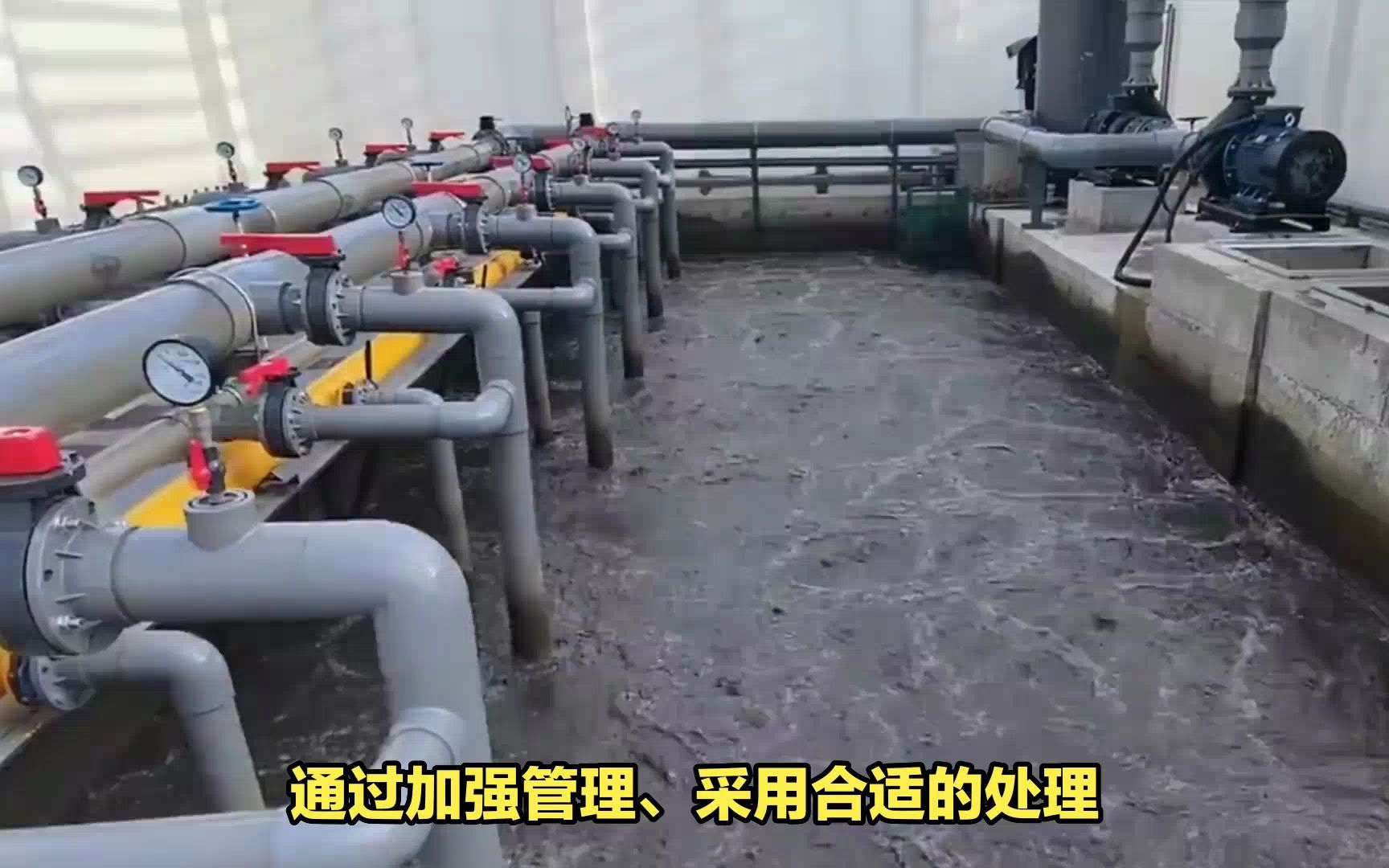 生活污水处理厂的氨氮为什么会超标?