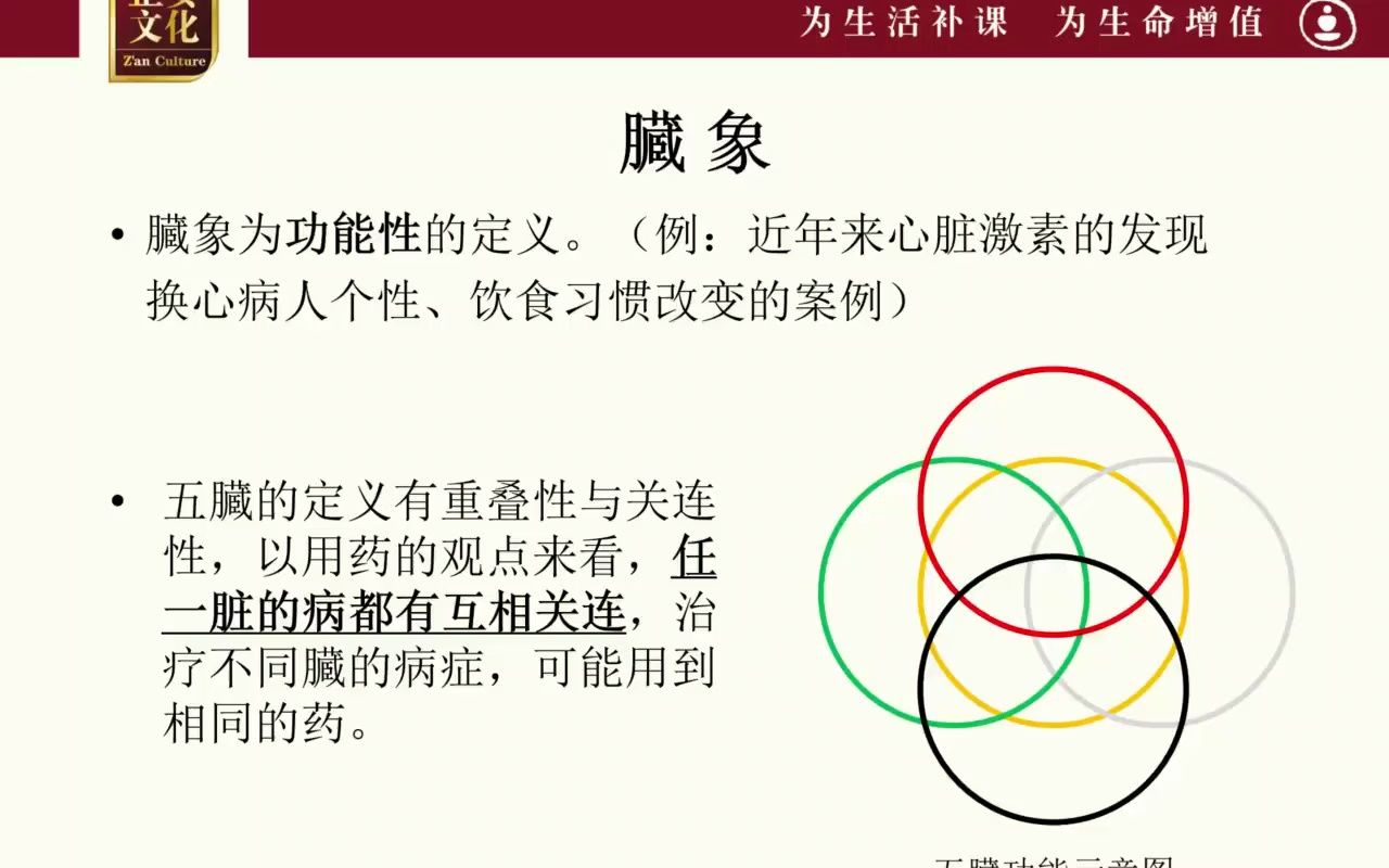 倪海厦老师弟子施合一中医基础 13.什么是 中医眼中的肝