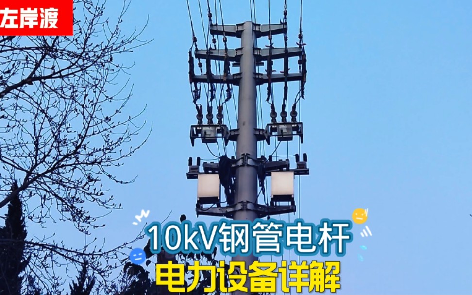 一处挨挨挤挤的钢管电杆,上面具体安装着哪些电力设备?现场详细讲解