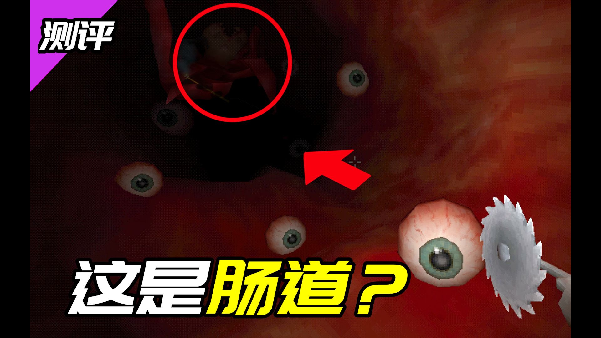 今年最重口的恐怖游戏!肛肠科医生模拟器!