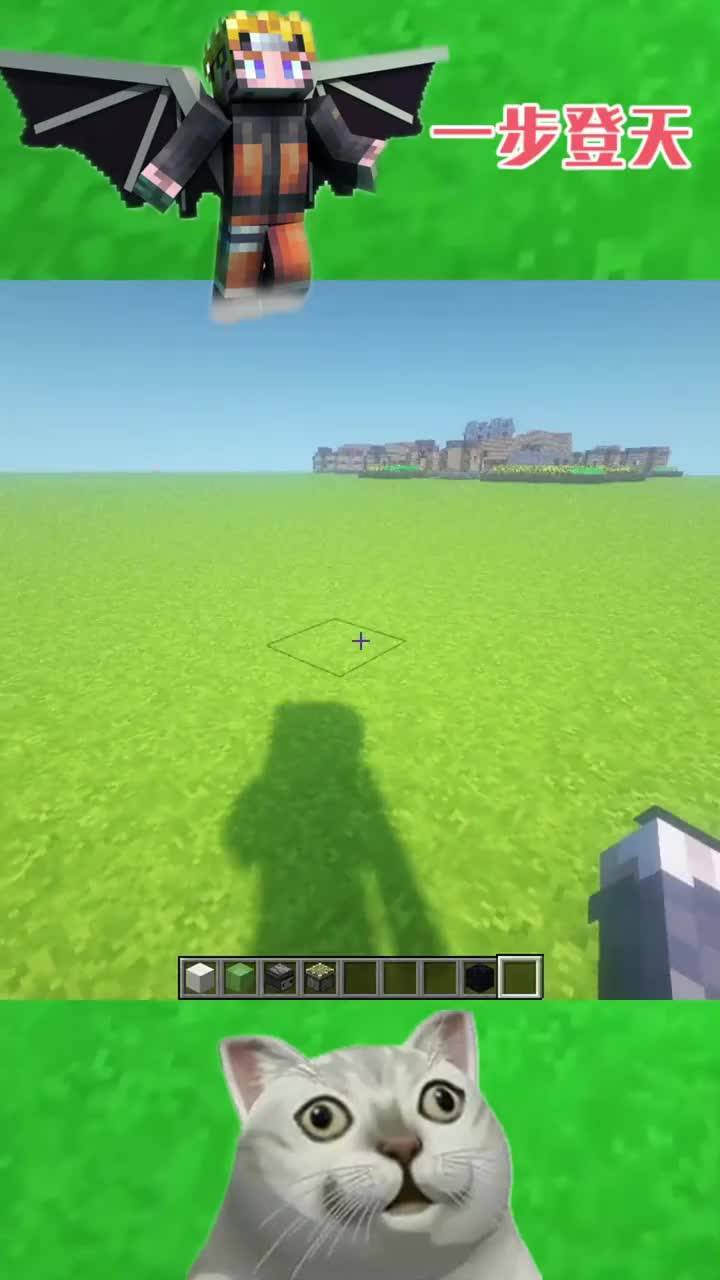 MC:升降电梯,一步登天!