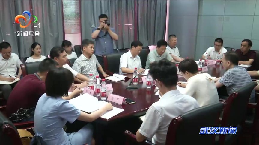 武汉市红十字会推动红十字会事业发展乏力 担当作为意识薄弱