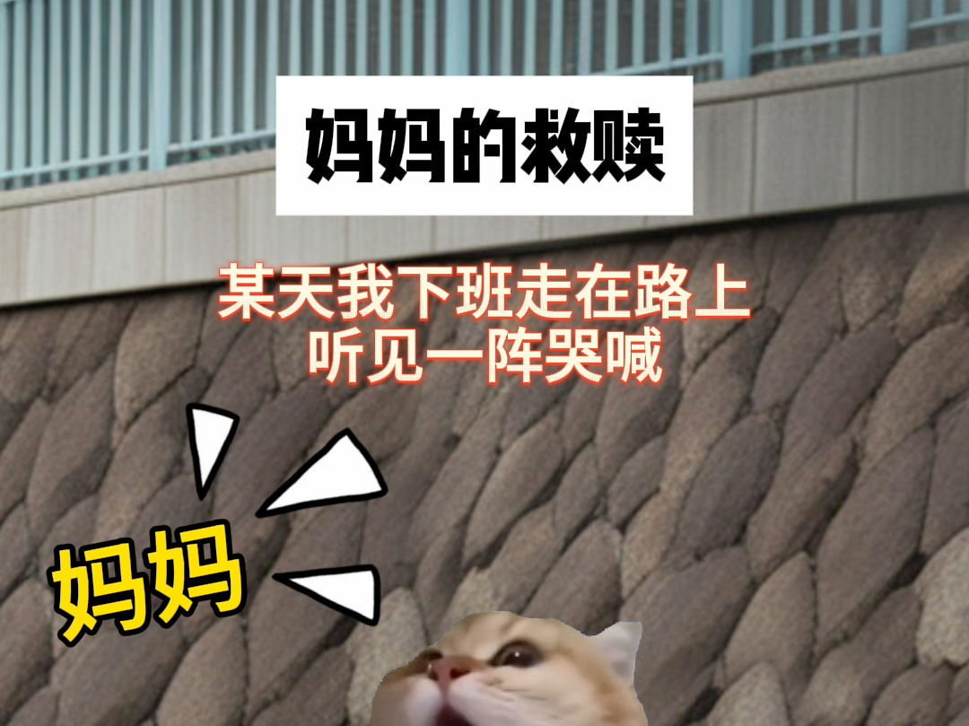 这一次我也救下了五年前那个无助绝望的自己