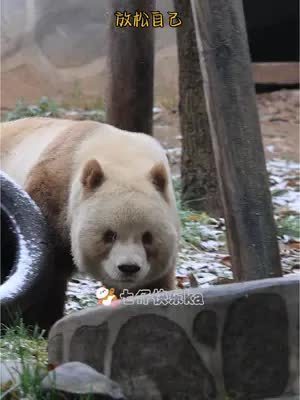 你的世界永远都很美丽!