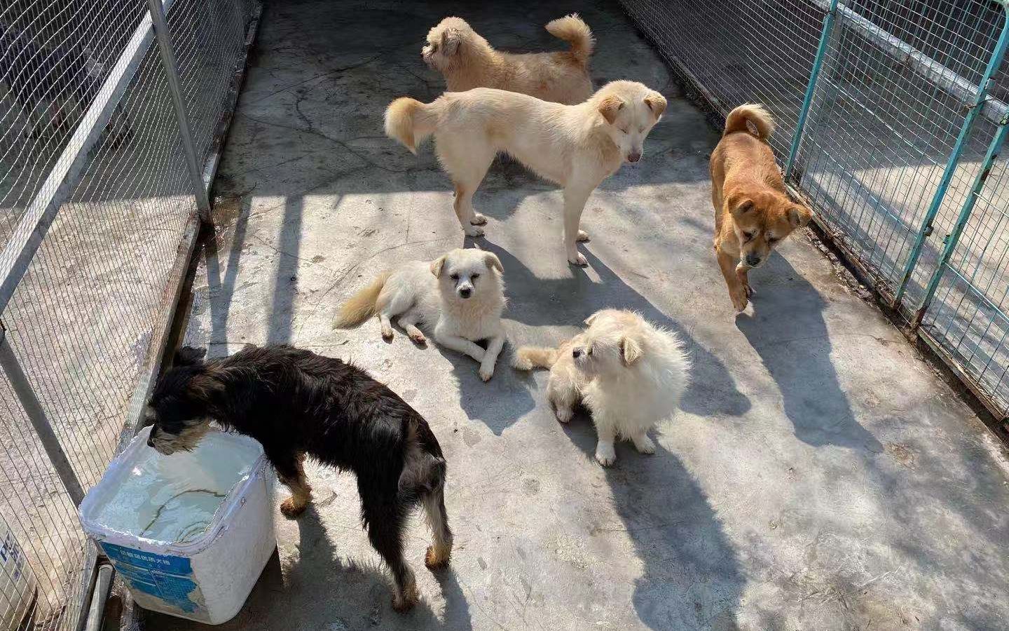 在保护好自己和他人的前提下,守护这一方期待和需要我们的净土