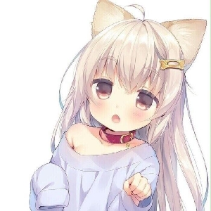 浪子小白羽 