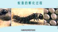 2023年中国大学生计算机设计大赛微课与教学辅助自然科学课程——...
