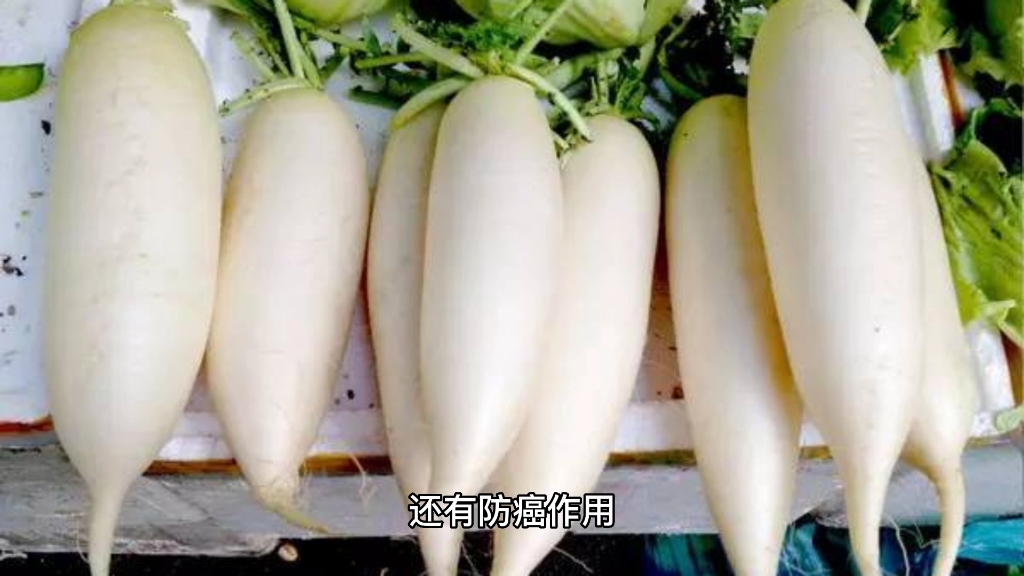 白萝卜的营养价值