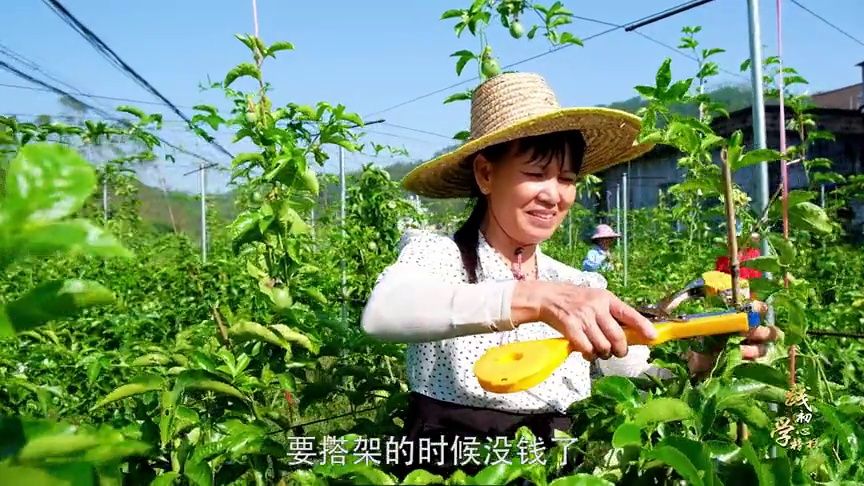 “践初心、学榜样”——黄凌镇社角村党支部书记杜国荣