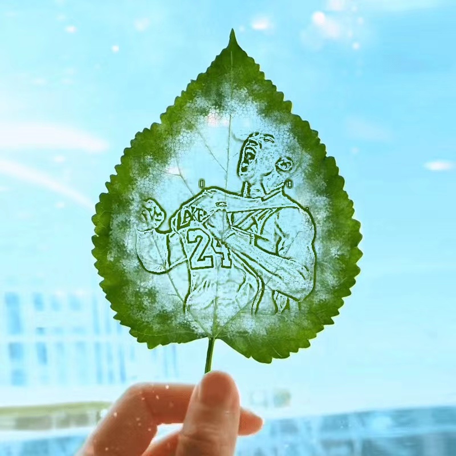 篮球情感 