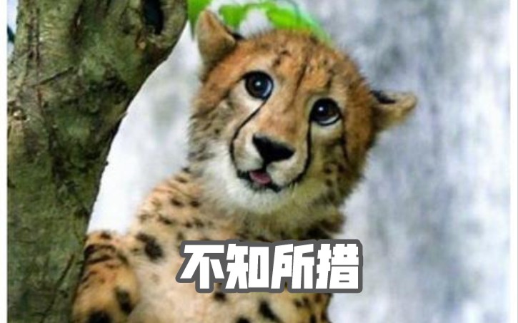 Bug:轮到你了|MIUI通知栏时间异常、息屏黑屏