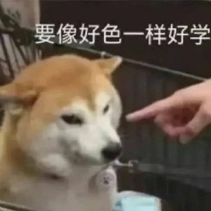 森之画 