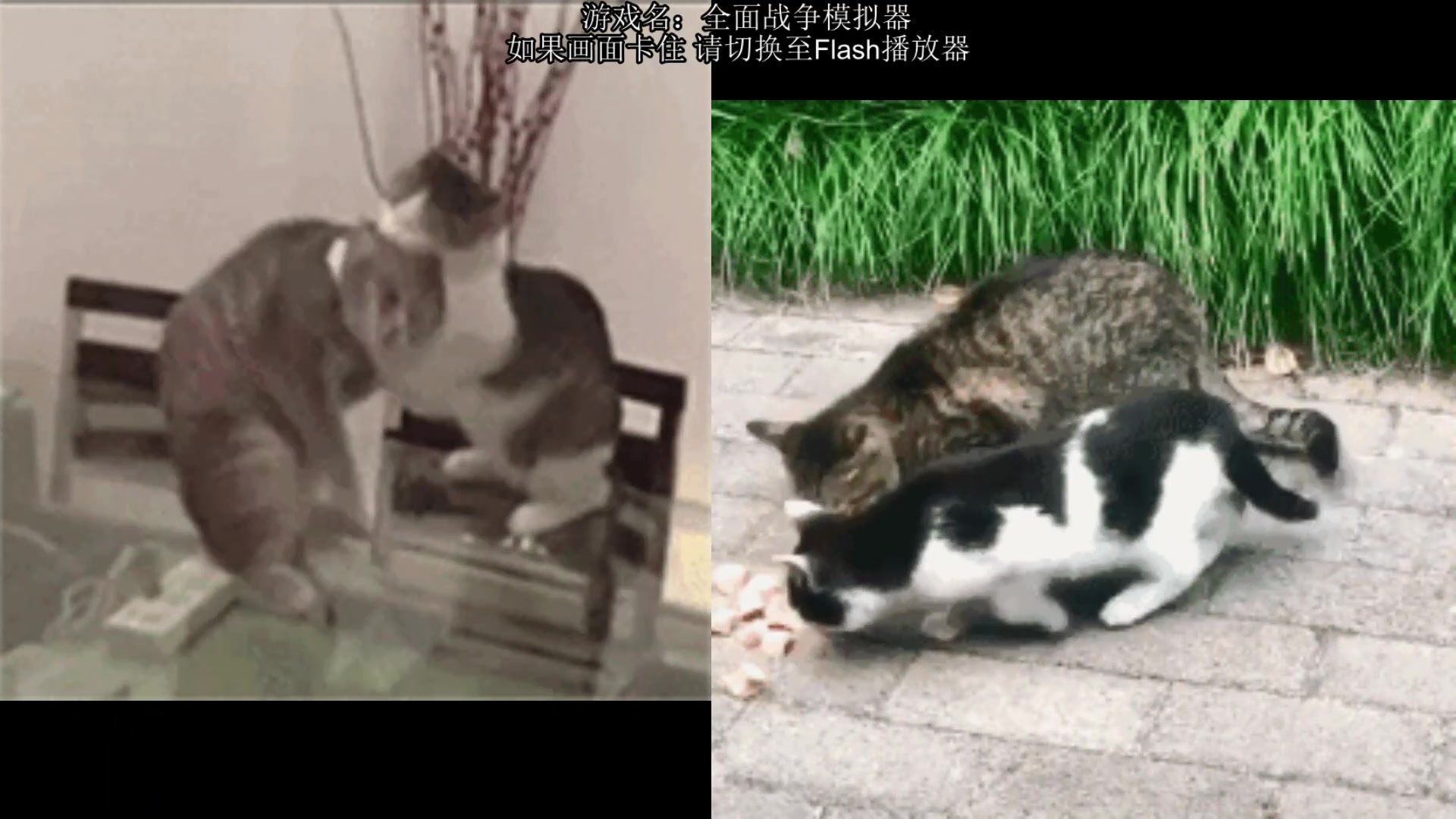 【190505 YUKIri 直播录制】全面战争模拟器+雨中冒险+Dungreed+...