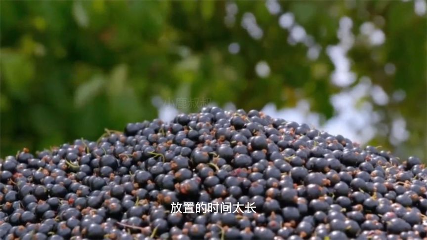 大家知道饮料是怎么做出来的吗,一起来看一看吧