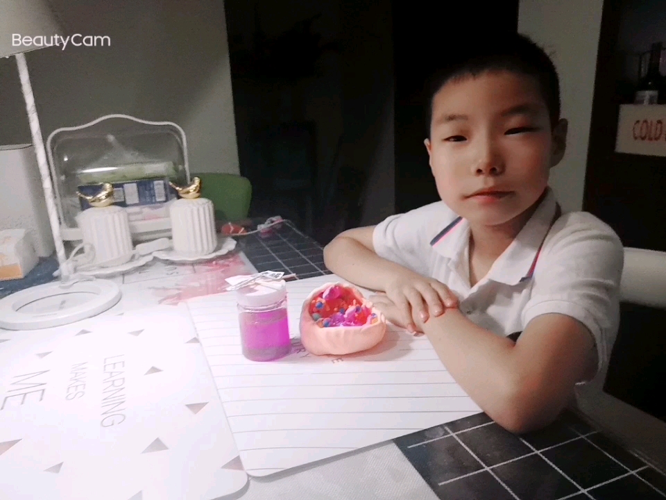 自制彩泥模型细胞小知识