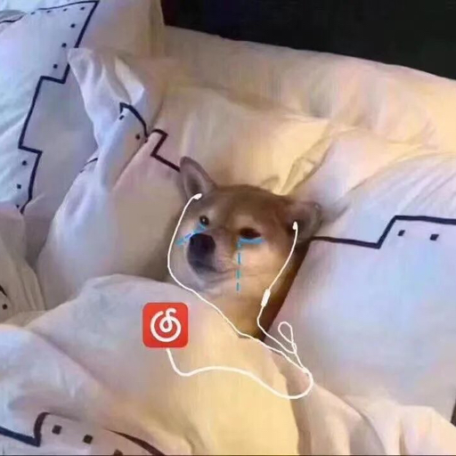 不丶我要靠才华 